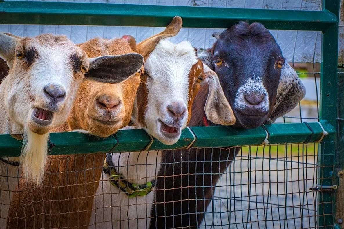 RabbitHoles AI Open Source | Seek Knowledge